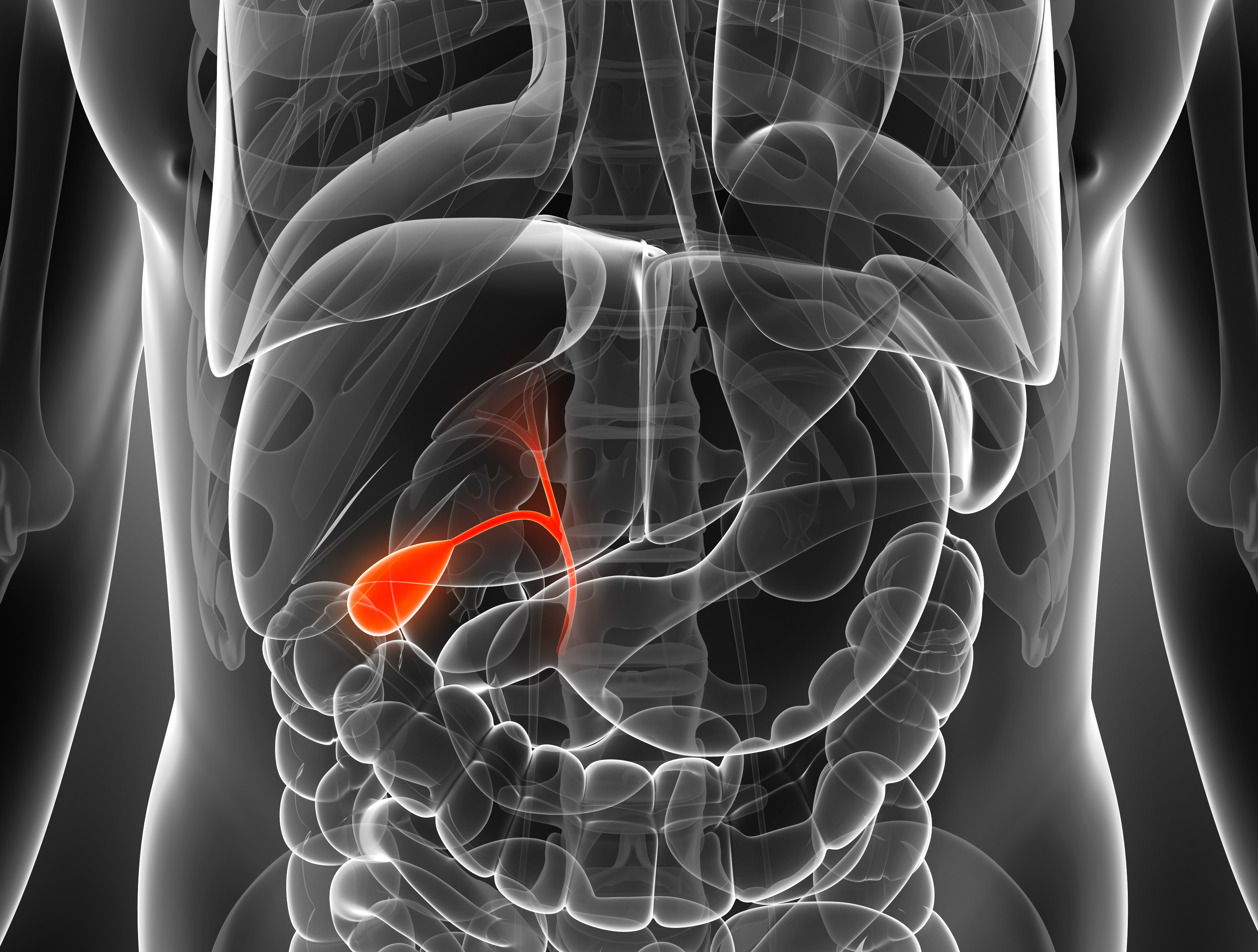 6 Gallstone Symptoms You Should Know About – General Health Magazine