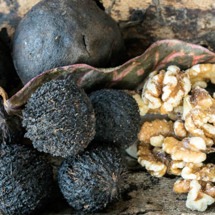 Black Walnut Benefits, Uses and Nutrition Facts – General Health Magazine