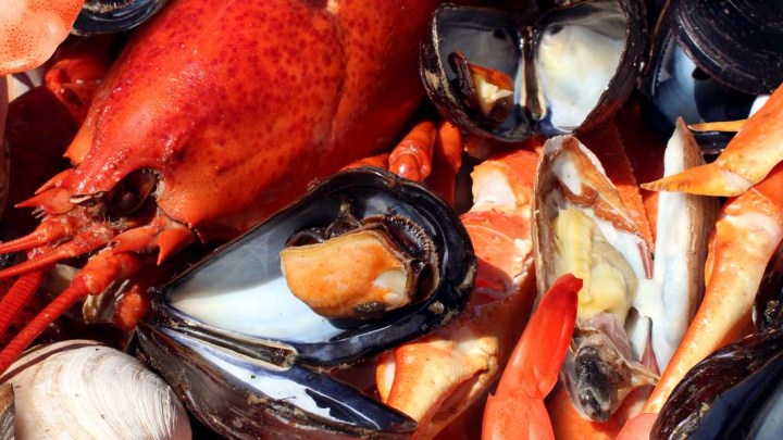 Shellfish Allergy Symptoms, Remedies and Alternatives – General Health ...