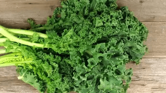 How Kale Nutrition and Health Benefits Make It a Superfood – General ...