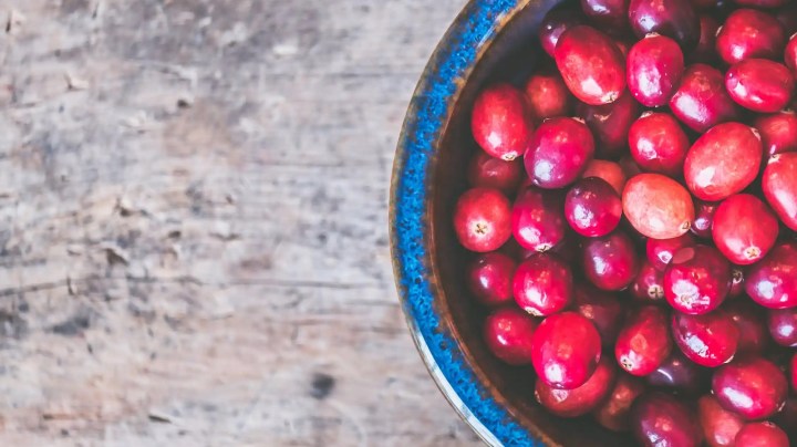 Cranberry Benefits for UTIs, Immune Health and More – General Health ...