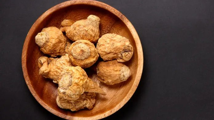 Maca Root Benefits Energy, Mood and Sexual Health – General Health Magazine